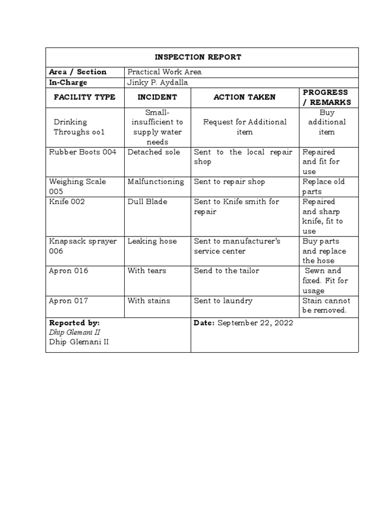 INSPECTION REPORT - Jinky | PDF