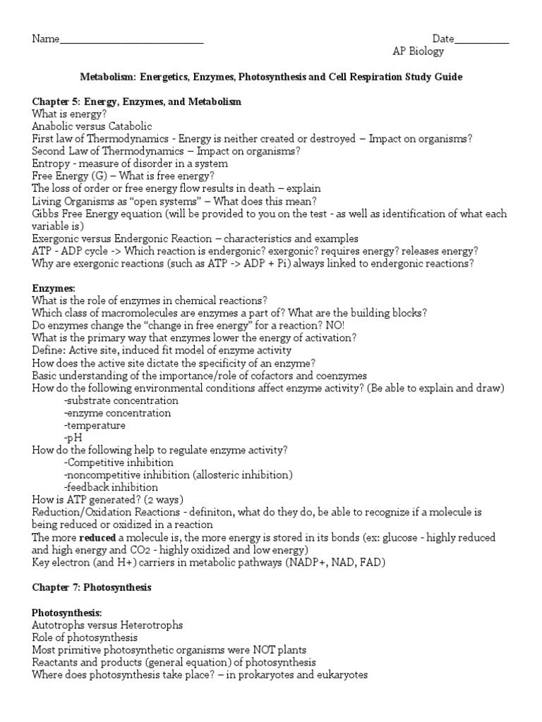 Unit 3 STUDY GUIDE | PDF | Cellular Respiration | Photosynthesis