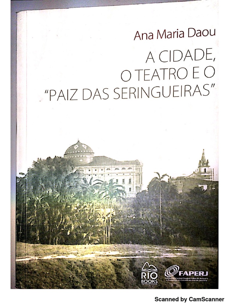 Profissões e Transformações em Manaus | PDF
