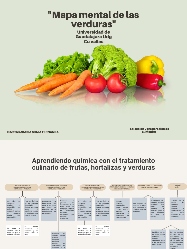 Mapa Mental De Las Verduras Universidad De Guadalajara Udg Cu Valles