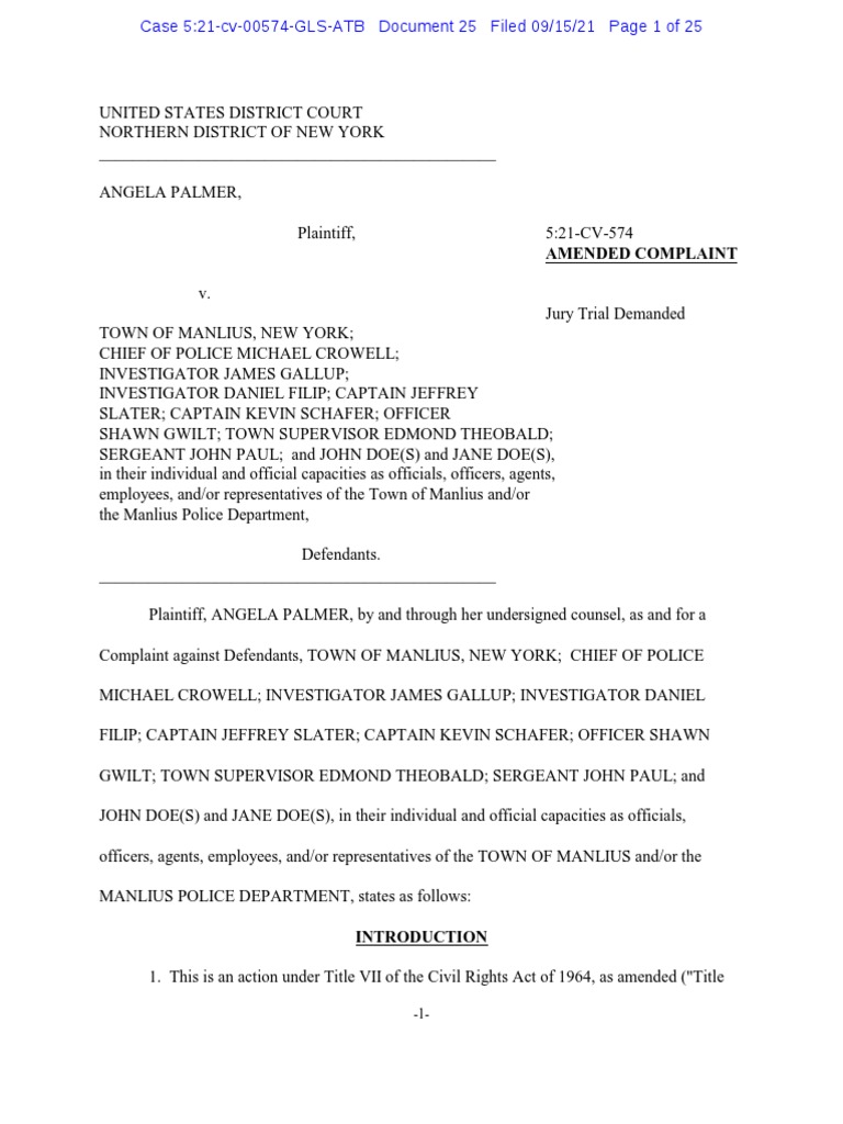Angela Palmer v. Manlius Police Chief Crowell, Town Supervisor Theobold ...