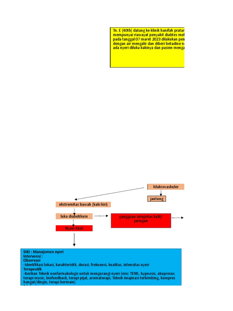 Pathway ULKUS DIABETIKUM Tn. E | PDF
