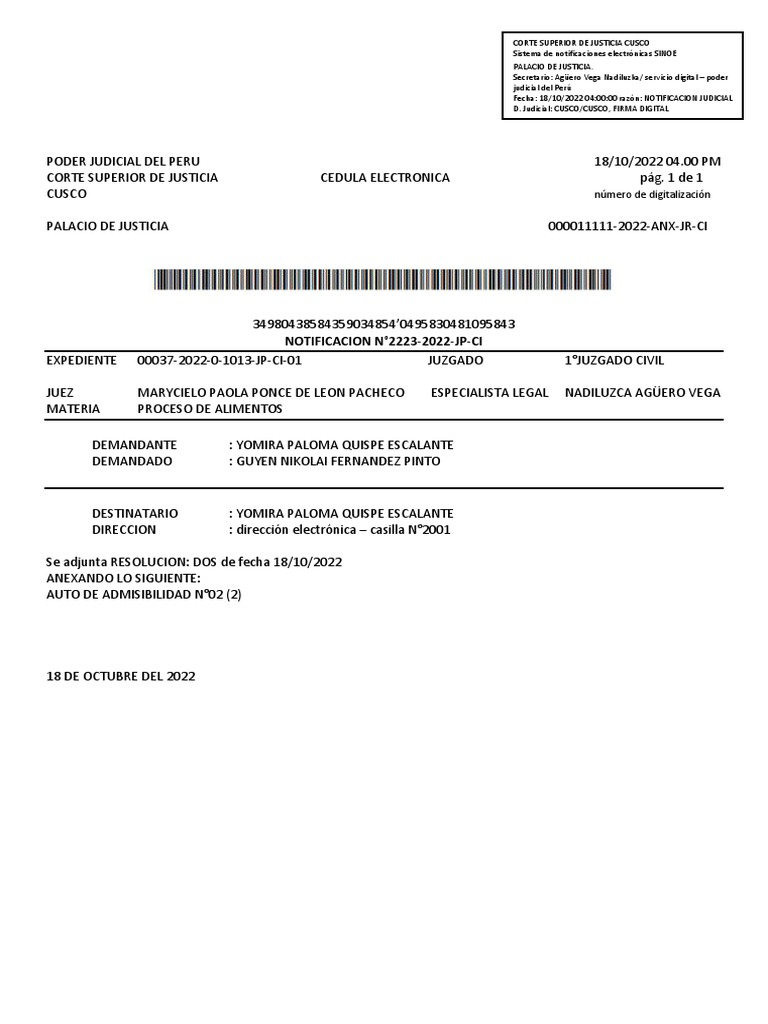 Cedula de Notificacion N°02 Parte Demandante | PDF