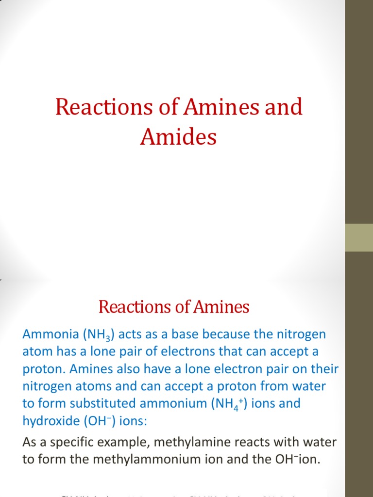 Reactions of Amines and Amides | PDF