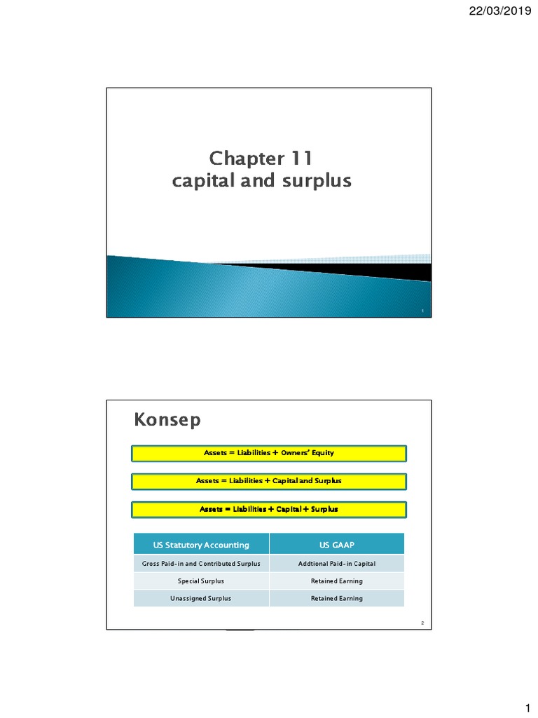 Chapter 11 Capital N Surplus | PDF | Reinsurance | Income