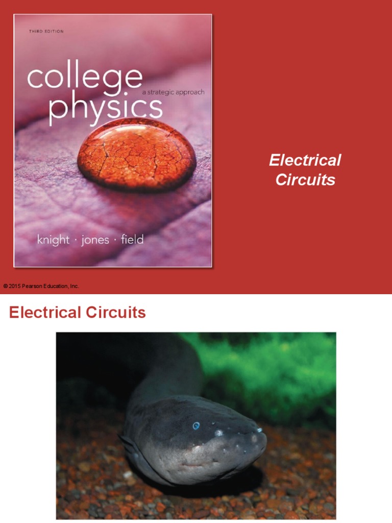 Electrical Circuits | PDF | Series And Parallel Circuits | Electrical ...