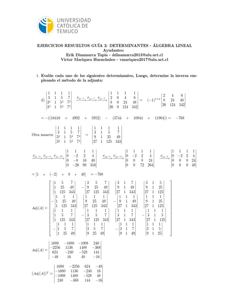 Ejercicios Resueltos de Determinantes | PDF | Álgebra | Matemáticas