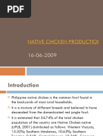 Layer Poultry Management Guide | PDF | Chicken | Poultry Farming