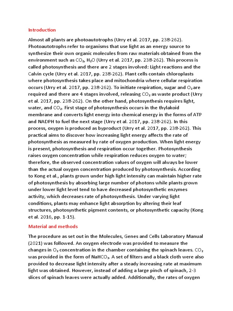 Prac Report | PDF | Photosynthesis | Cellular Respiration