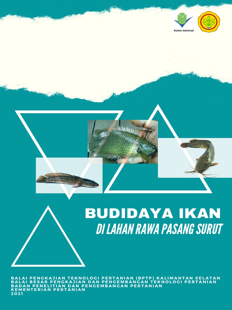 Buku Budidaya Ikan Di Lahan Rawa | PDF