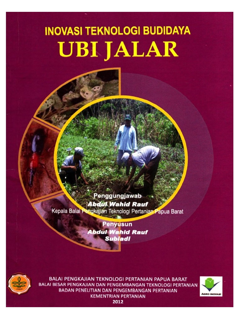 Buku Inovasi Teknologi Budidaya Ubi Jalar | PDF