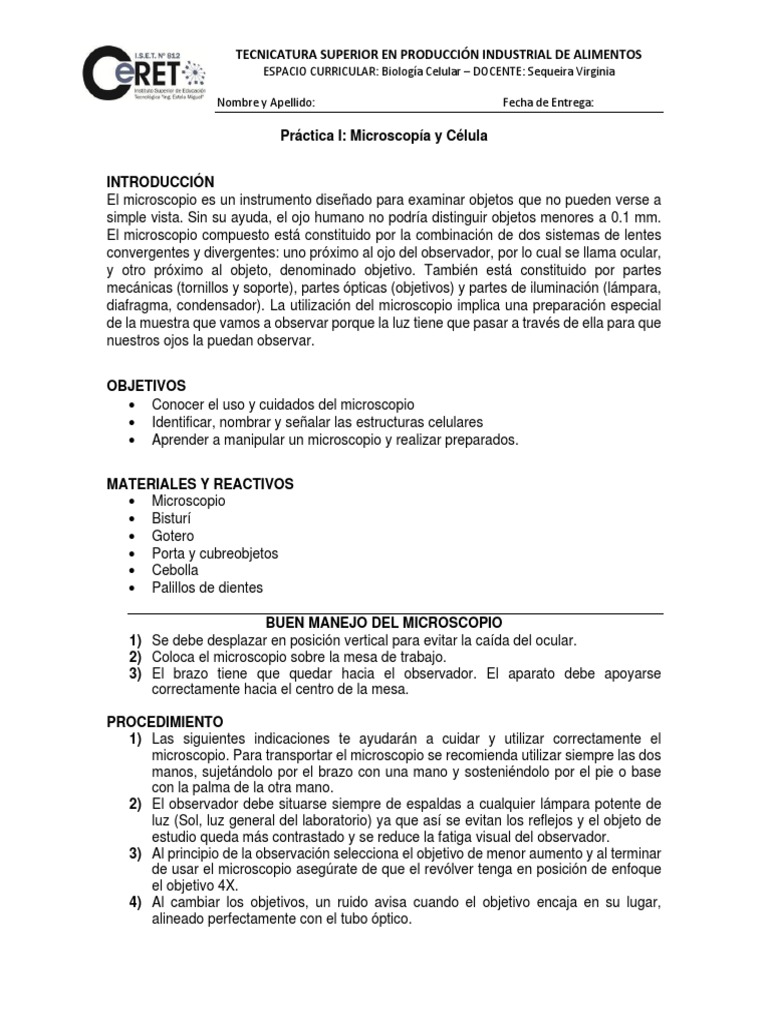 Práctica I - Micro y Célular | PDF | Microscopio | Ojo