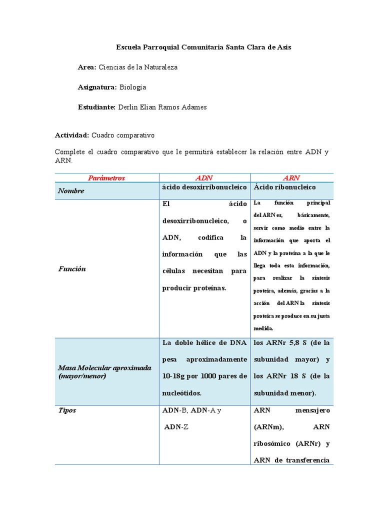 Cuadro Comparativo de Adn y Arn | Descargar gratis PDF | Rna | Adn