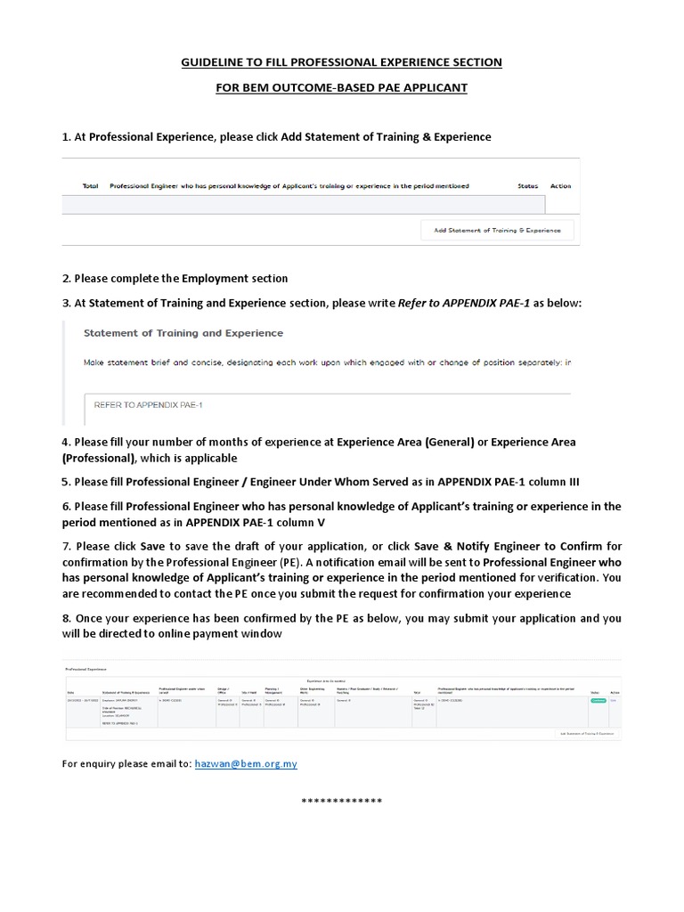 Guideline To Fill Professional Experience Section For Bem Outcome | PDF