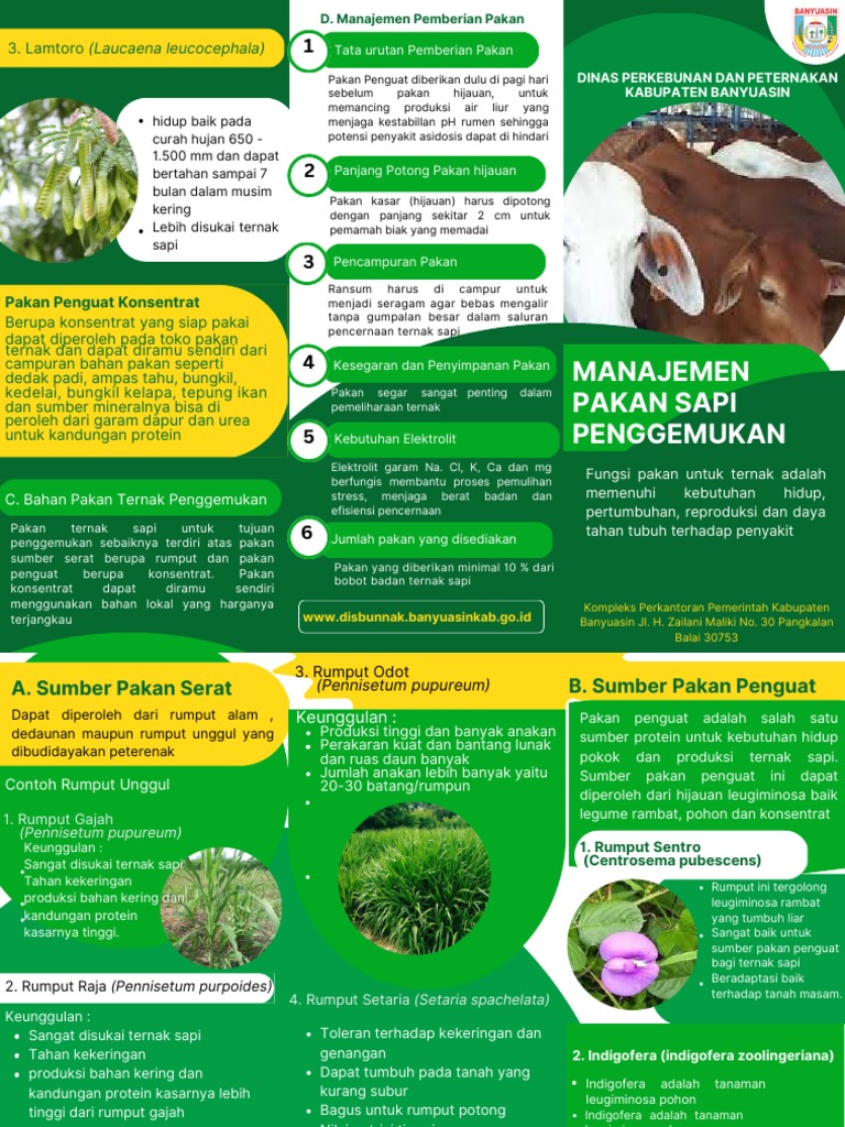 Pakan Sapi Penggemukan | PDF