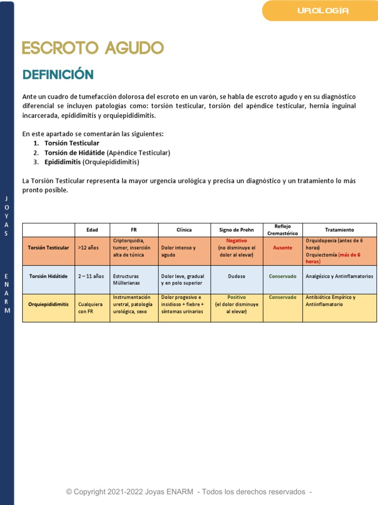 Escroto Agudo (Torsión Testicular, Torsión Hidátide, Epididimitis ...