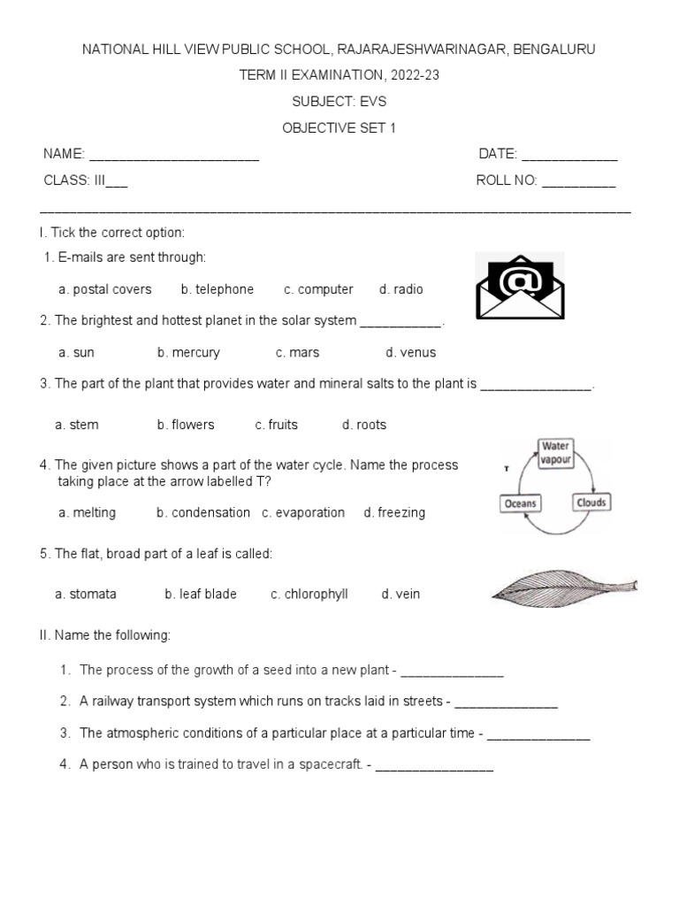 Class 3 EVS Term II Examination: Objective Set 1 | PDF | Leaf | Plants
