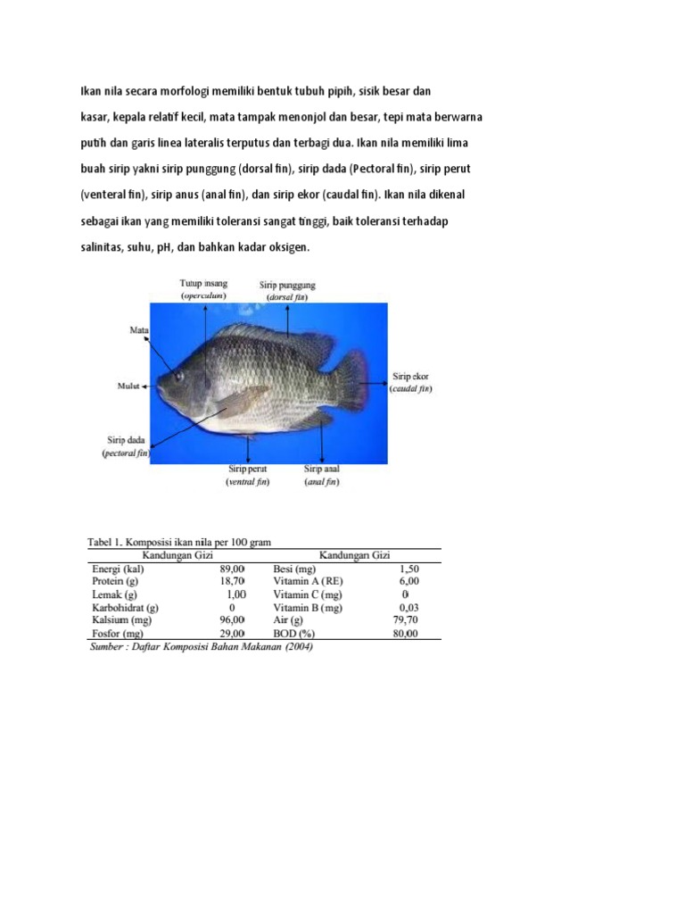 Ikan Nila Secara Morfologi Memiliki Bentuk Tubuh Pipih | PDF