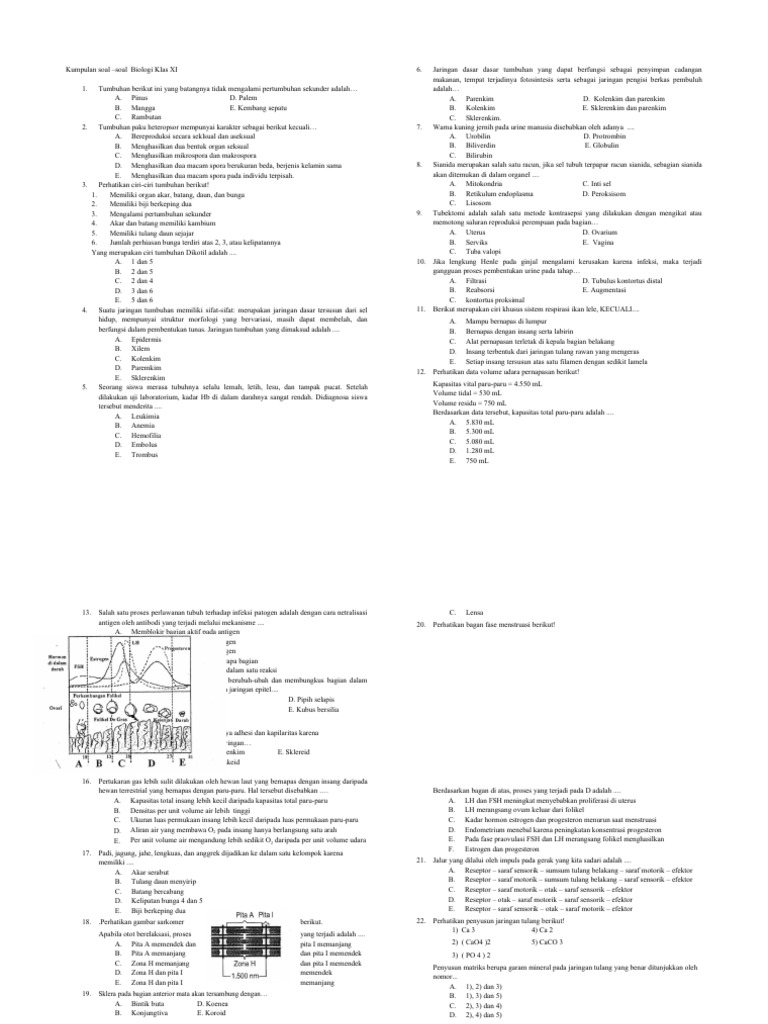 Latihan Soal BIOLOGI Klas XI | PDF