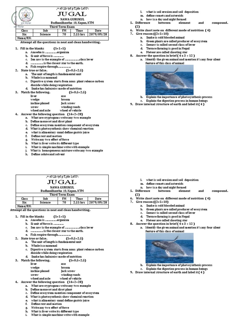 Class 6 Science | PDF | Ecosystem | Photosynthesis