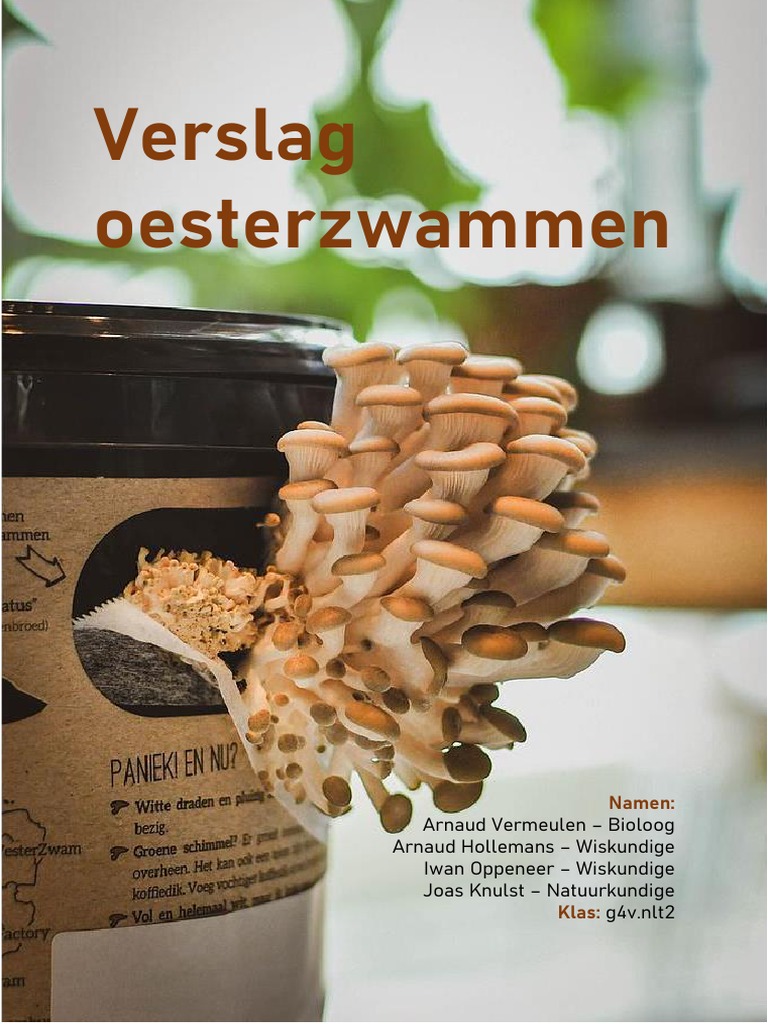 NLT - Oesterzwammen Verslag | PDF