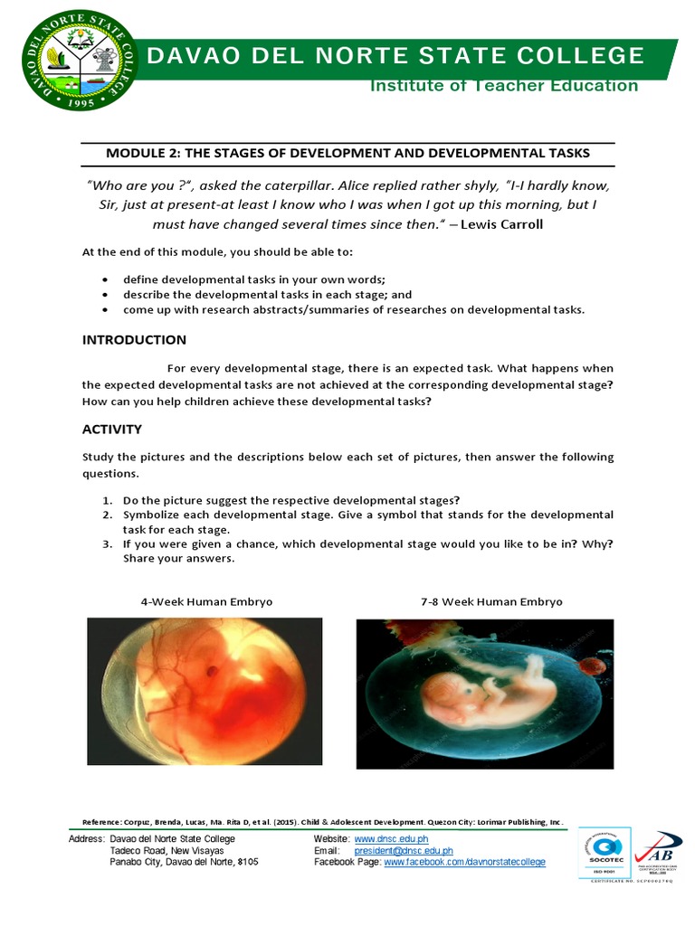 The Stages of Development and Developmental Tasks - Week 3 | PDF ...