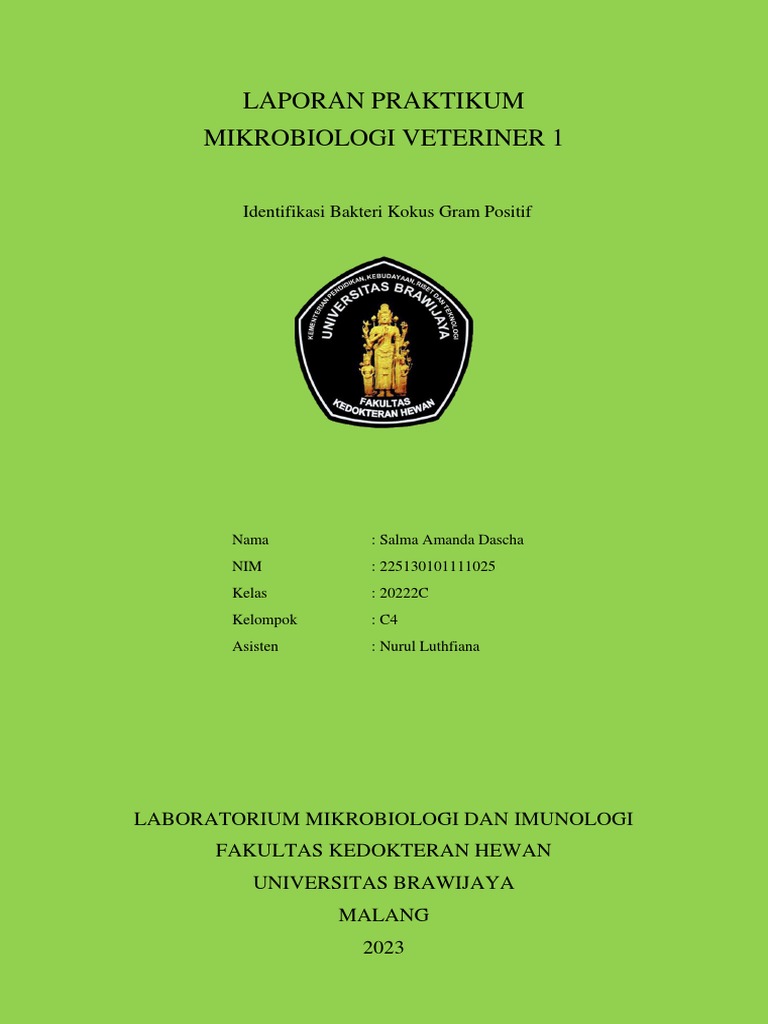 Salma Amanda Dascha - Identifikasi Bakteri Kokus Gram Positif | PDF ...