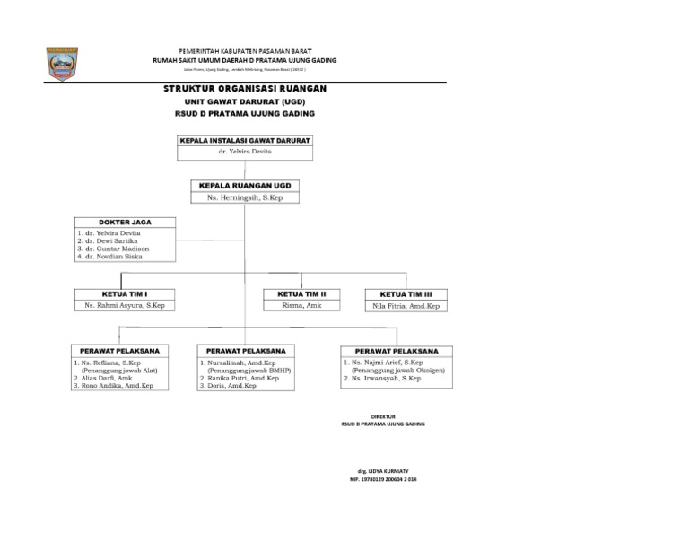 Struktur Organisasi UGD RSUD | PDF