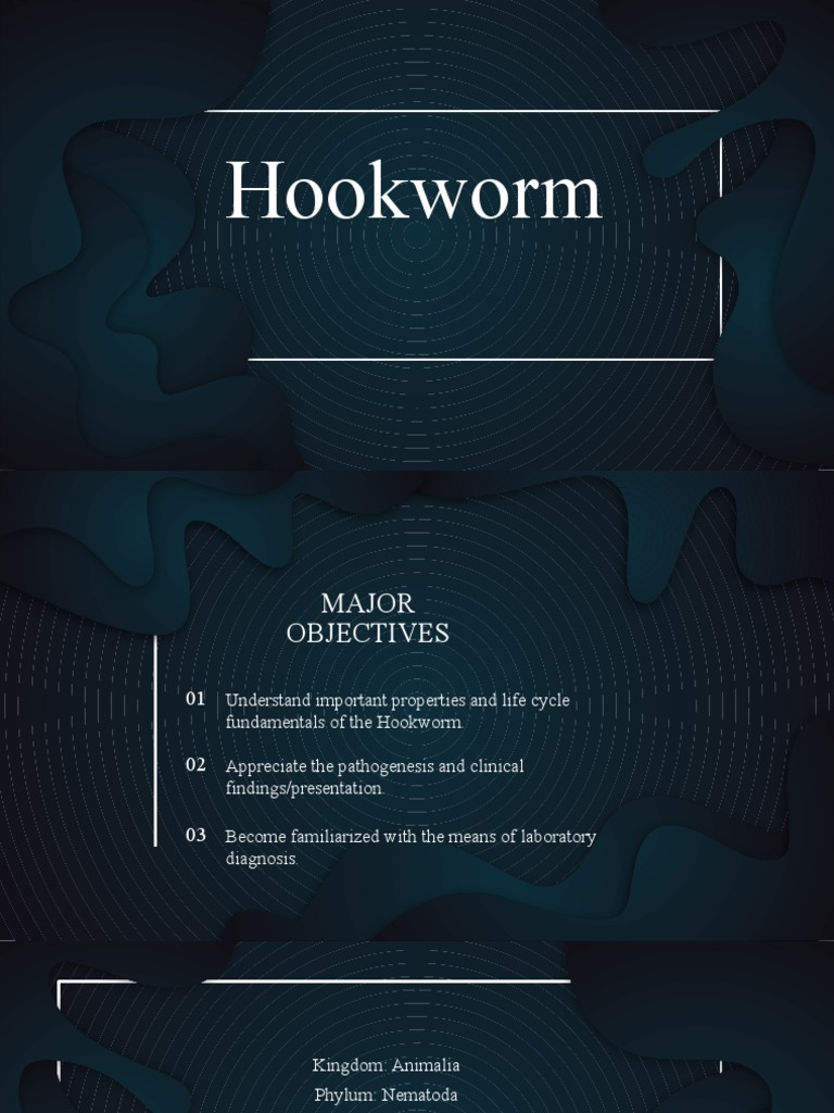 Hookworms | PDF | Nematode | Infection