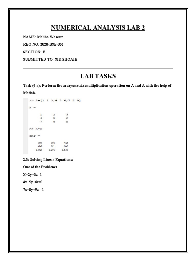 Numerical Analysis Lab 2 Pdf 