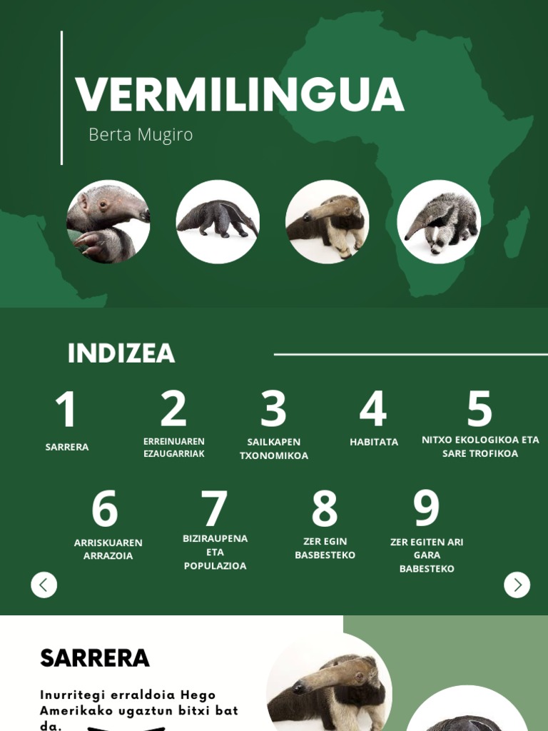 Vermilingua: Berta Mugiro | PDF