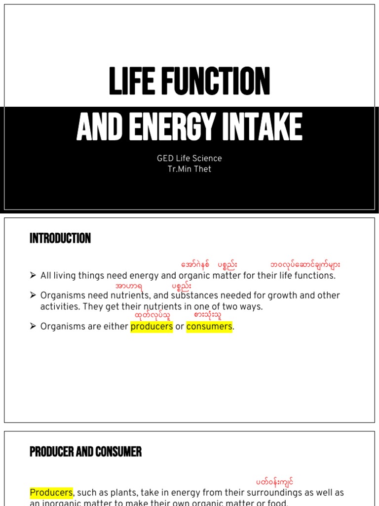 Life Function: and Energy Intake | PDF | Cellular Respiration | Ecosystem