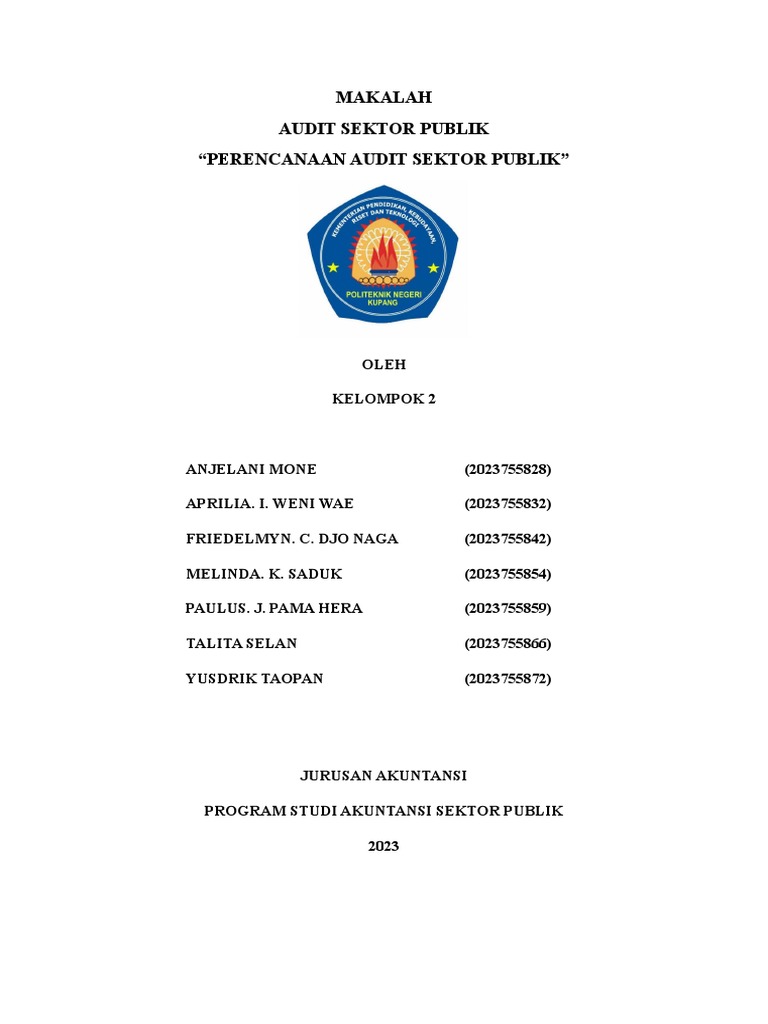 Makalah Audit Perencanaan Sektor Publik Kel-2 | PDF | Bisnis