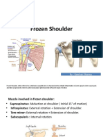 Scapula & Shoulder CARs | PDF