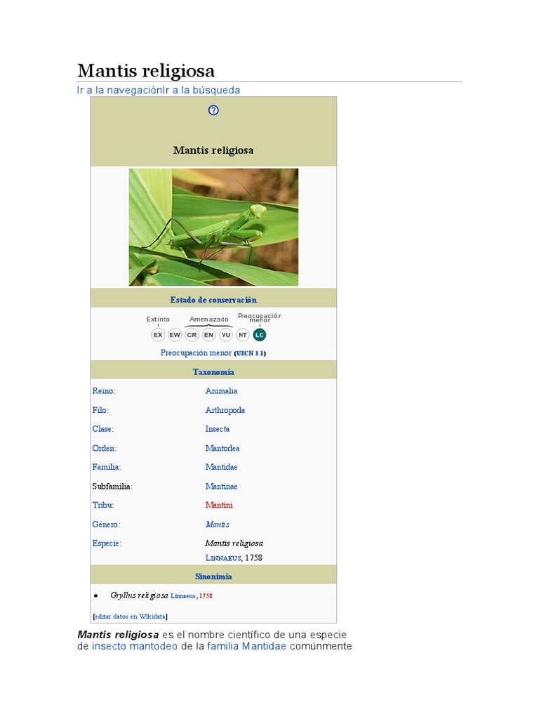 Mantis Religiosa | PDF