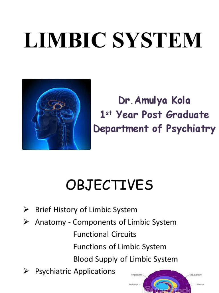 LIMBIC SYSTEM PPT by Amulya | PDF | Limbic System | Hippocampus
