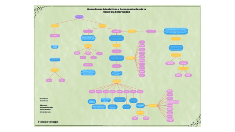 Mapa Conceptual Fisiopatologia | PDF | Patología | Ciencias de la Salud