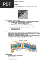 Cell Transport Concept-Map | PDF | Membrane Biology | Life Sciences