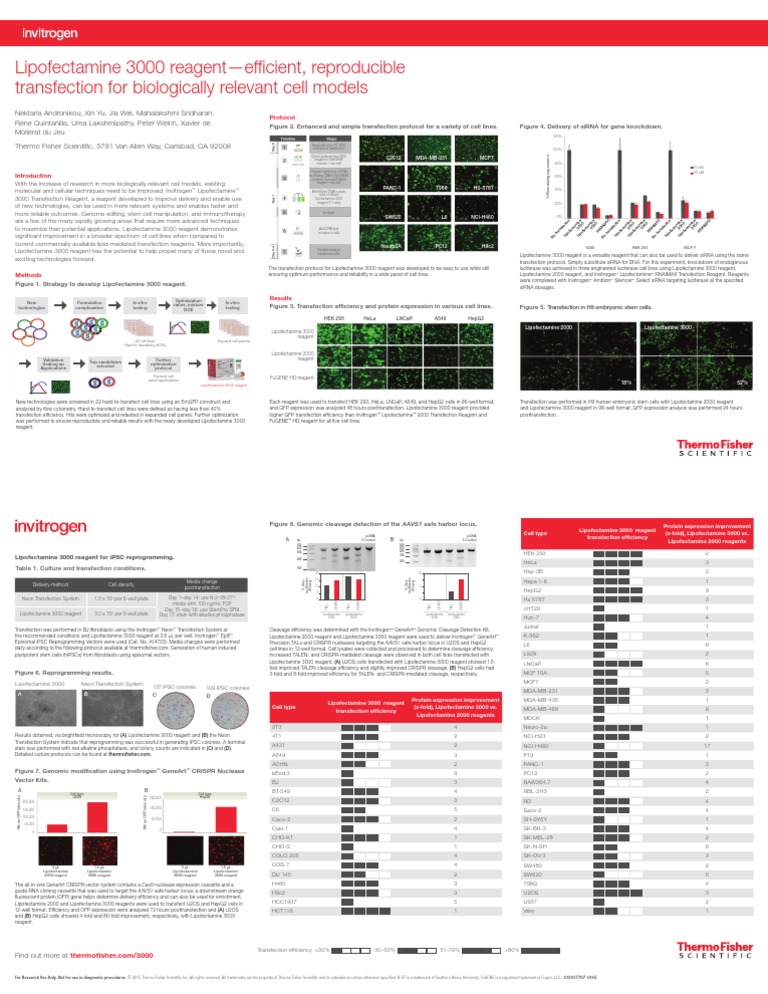 Lipofectamine3000 Poster 2 | PDF | Transfection | Hek 293 Cells