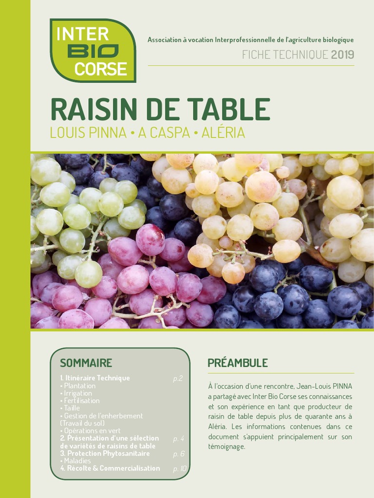 FT Raisin de Table 2019 | PDF | Raisin