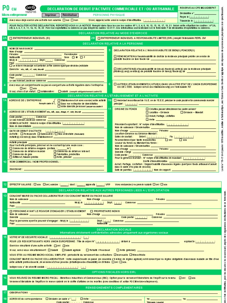 Cerfa 15253-05 | PDF | Impôt sur le revenu | Micro-entrepreneur