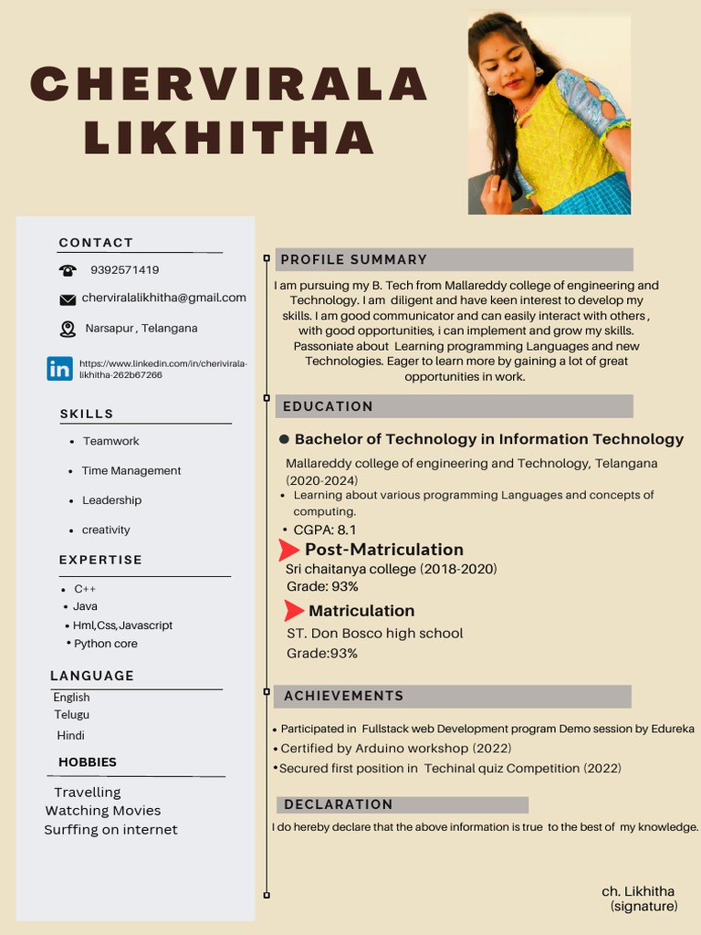 IT Student Profile | PDF | Software Engineering | Computing