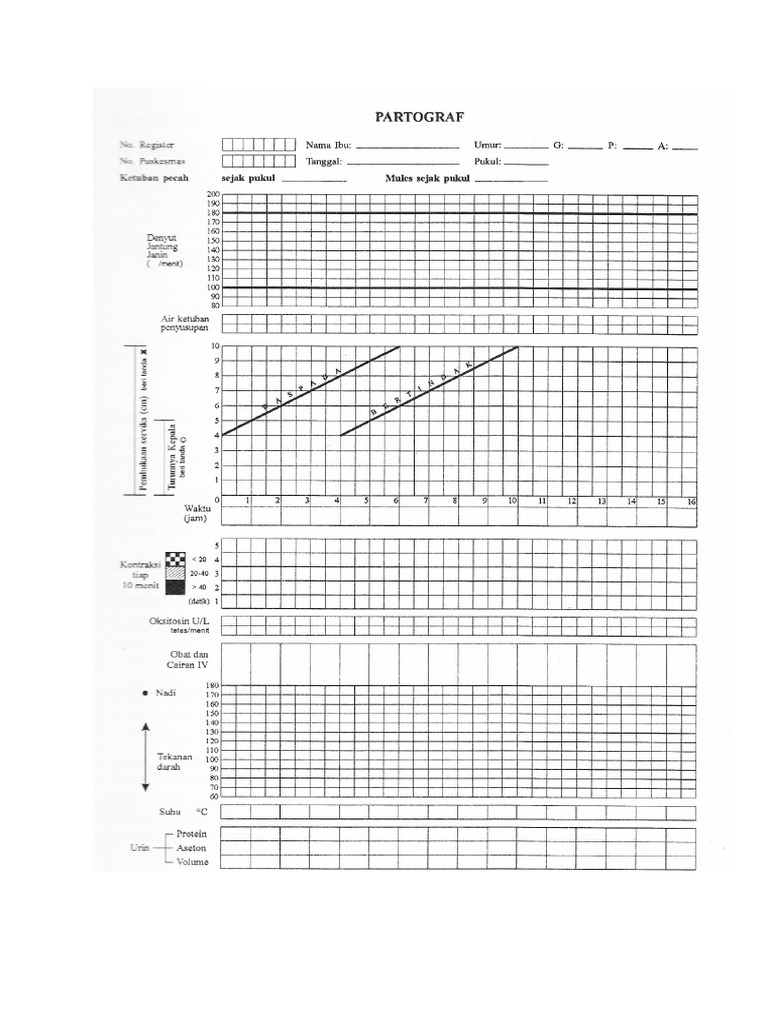 Format Partograf | PDF