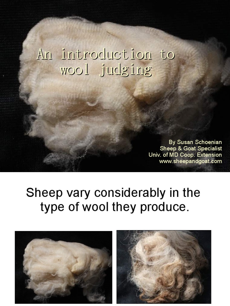 An Introduction To Wool Judging | PDF | Wool | Sheep