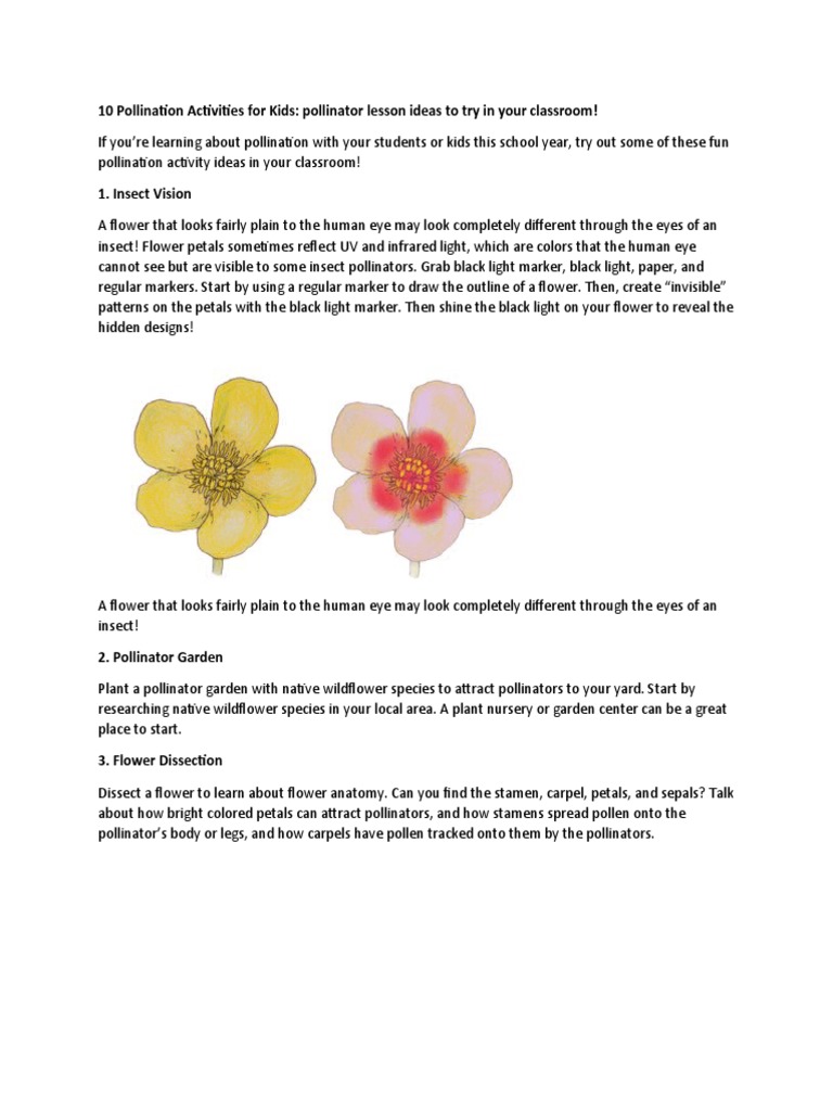 10 Pollination Activities For Kids - Pollinator Lesson Ideas To Try in ...