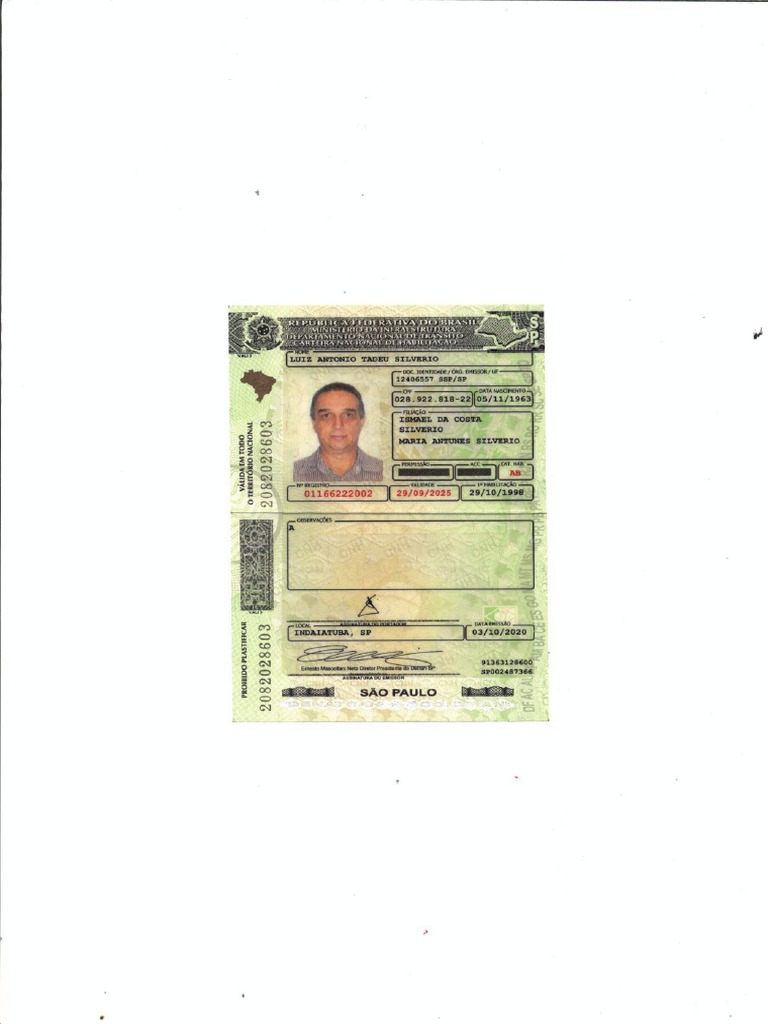 CNH Luiz A T Silverio | PDF