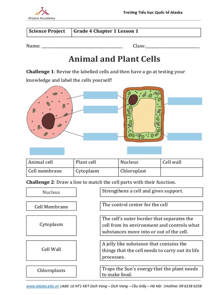 Grade 4 Unti A Chapter 1 Lesson 1 Project | PDF | Science & Mathematics ...