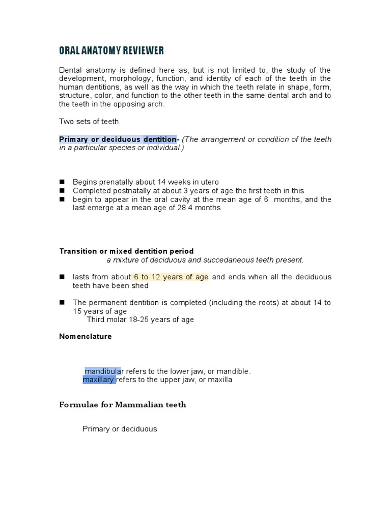 Oral Anatomy Reviewer | PDF | Dental Anatomy | Tooth