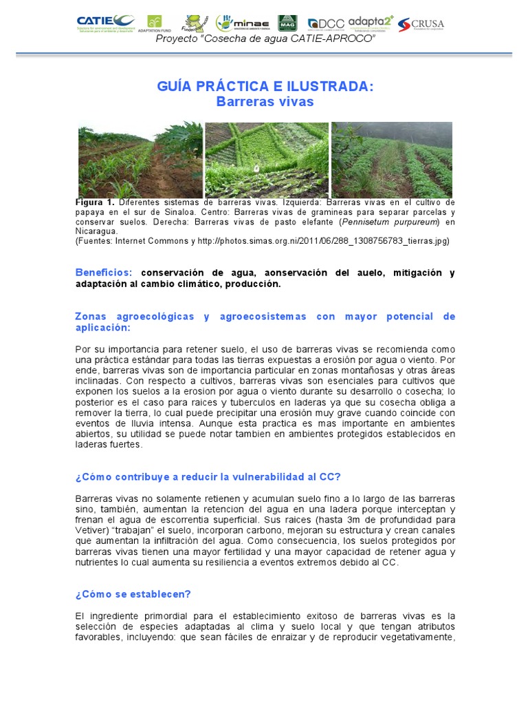Guía práctica e ilustrada para el establecimiento y manejo efectivo de barreras vivas para la ...
