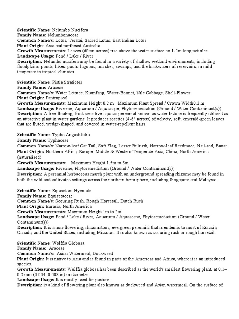 Scientific Names of Common Ferns | PDF | Fern | Trees